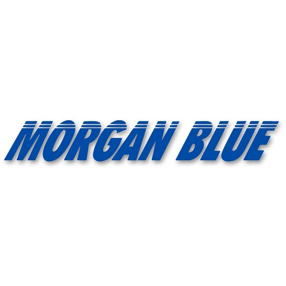 Óleo Lubrificante de Corrente Morgan Blue Extra Dry Lube 125ml